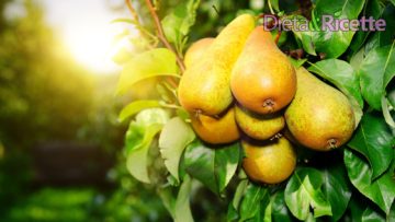 Benefici della Pera, calorie, valori nutrizionali e tipi di pere